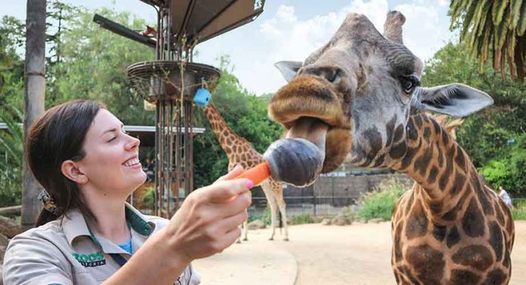 Fred Media secures major pre-sales for WTFN’s Mega Zoo ob doc series