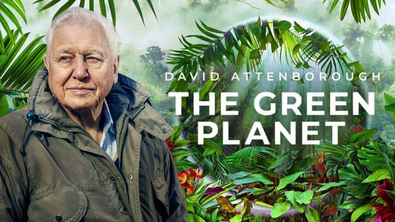 Mike Gunton: The Green Planet & next with David Attenborough from BBC