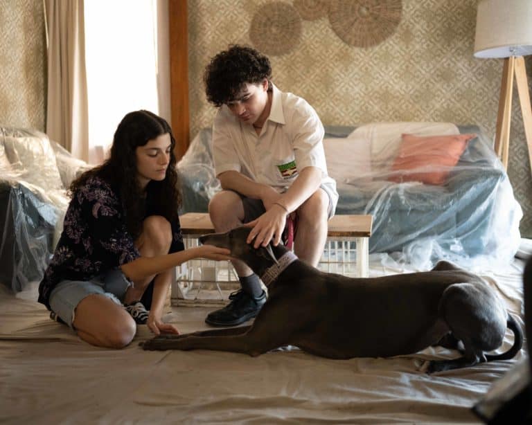 Significant Others: Exploring grief and fractured families