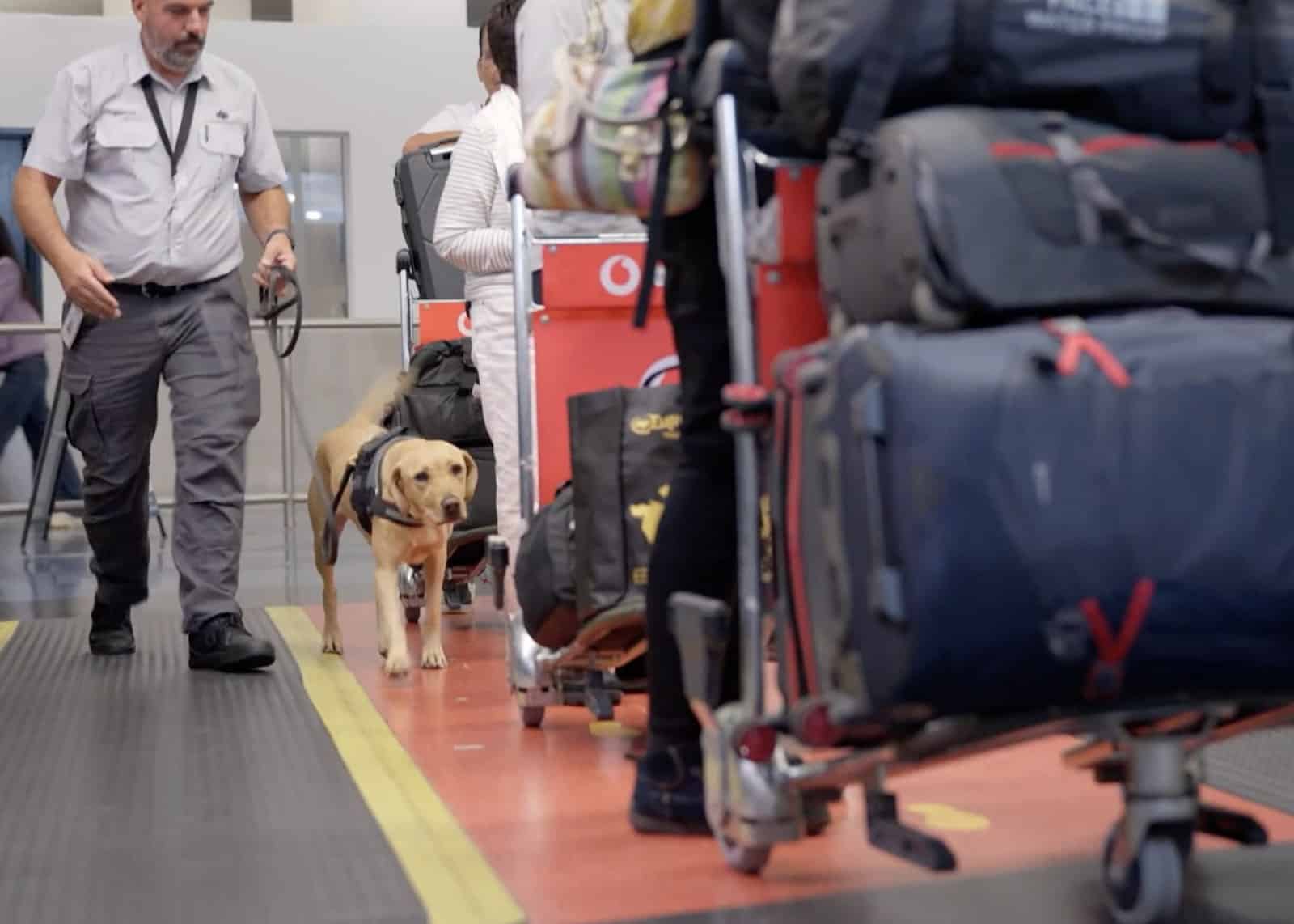 Seven Upfront 2024: New and Returning shows - Mediaweek