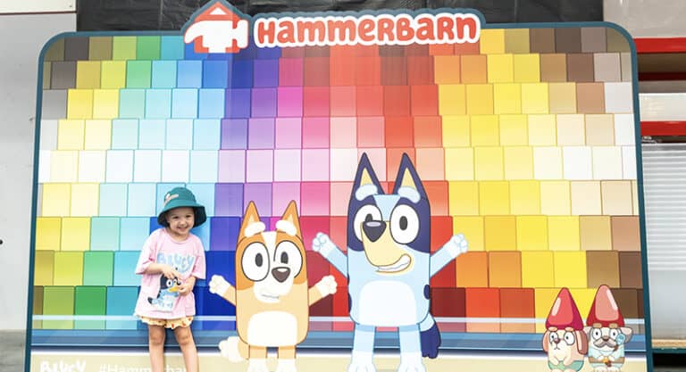 For real life! Behind Hammerbarn and Bluey's Bunnings takeover