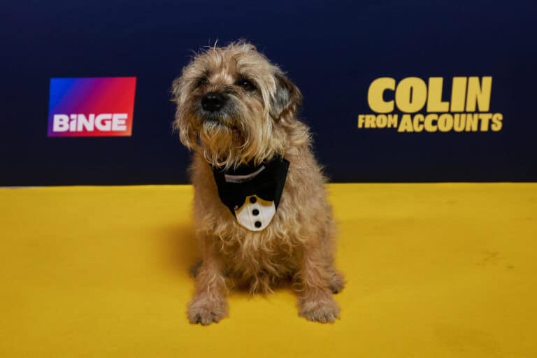 Binge launches Colin From Accounts second season