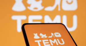 Temu claims title as Australia's fastest-growing website