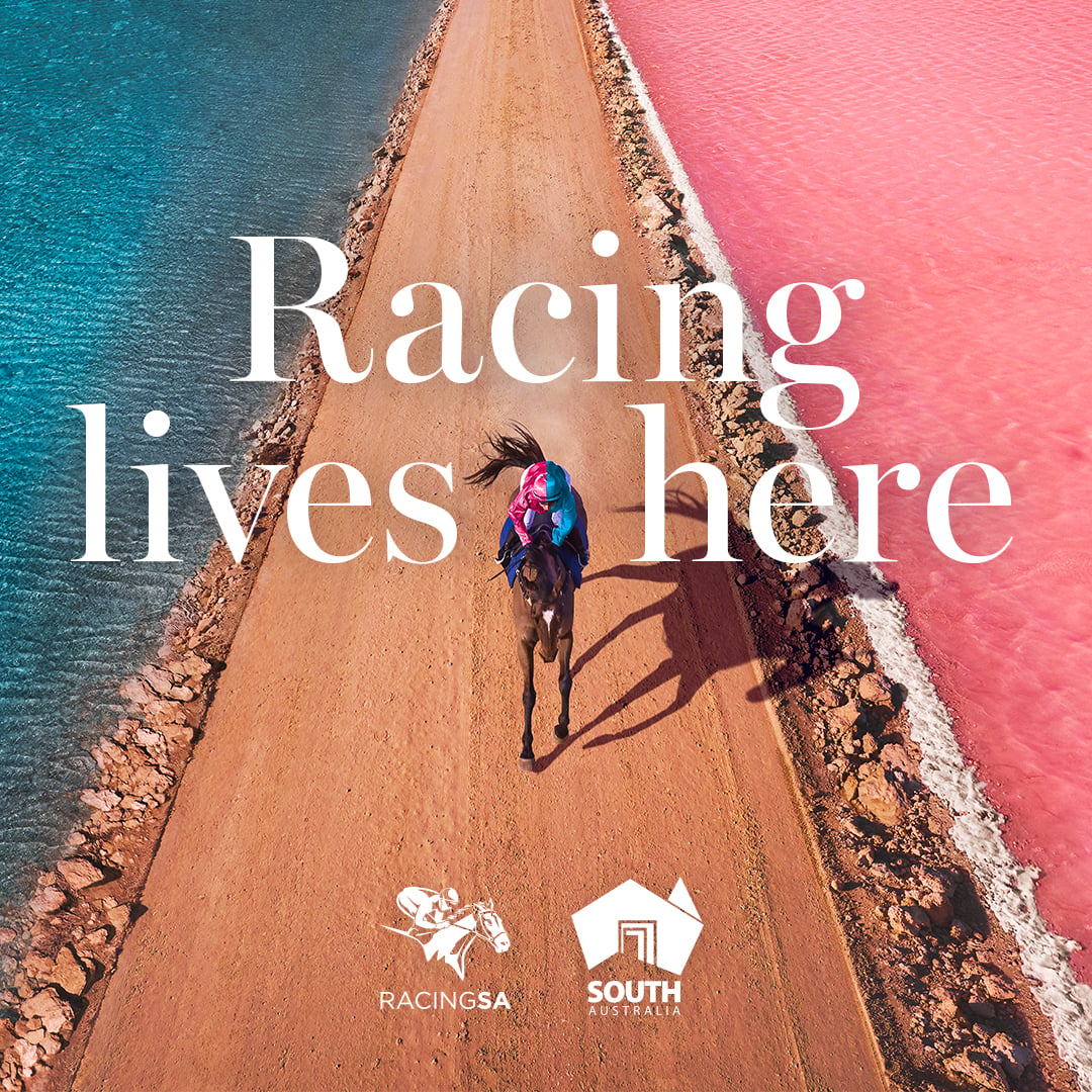Racing SA teams up with Emotive for first national campaign