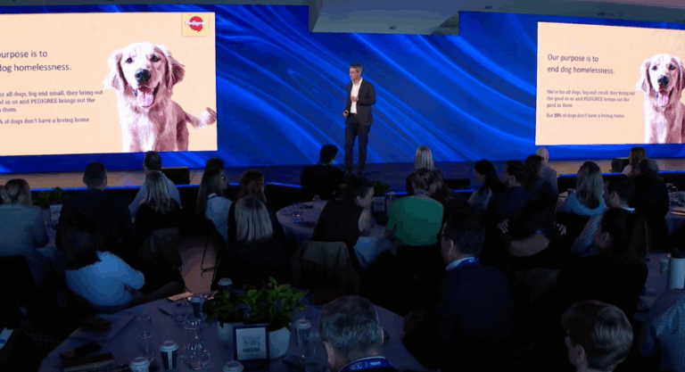 How the Pedigree Adoptables campaign won hearts and attention