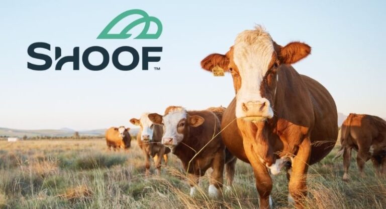 Tonic to manage PR, Social Media and Brand Strategy for Shoof