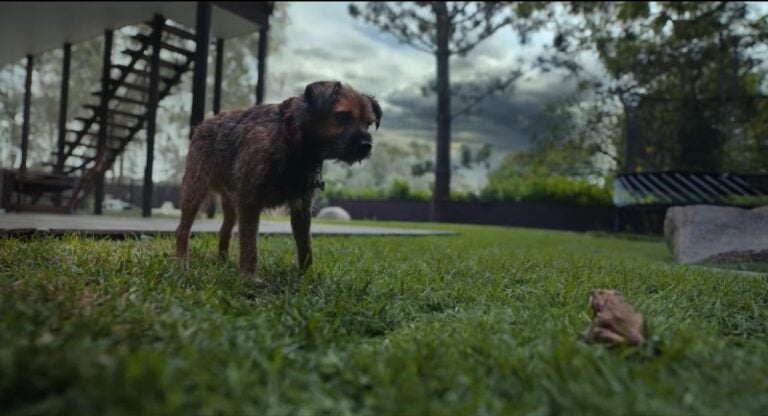 Leo Australia wins Grand Effie for Suncorp resilience campaign - Mediaweek