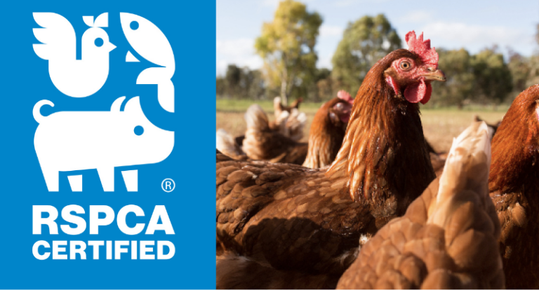 Look for the new logo: RSPCA Approved becomes RSPCA Certified