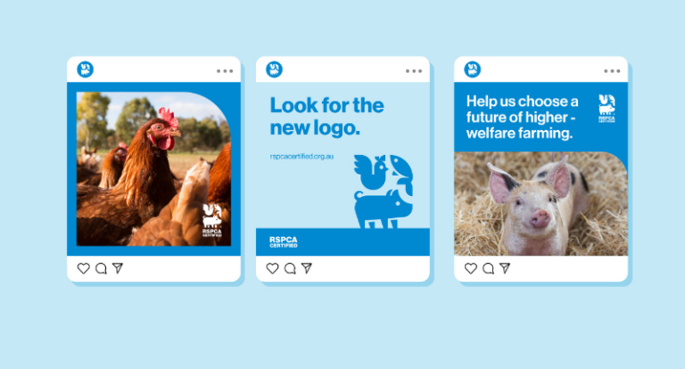 Look for the new logo: RSPCA Approved becomes RSPCA Certified