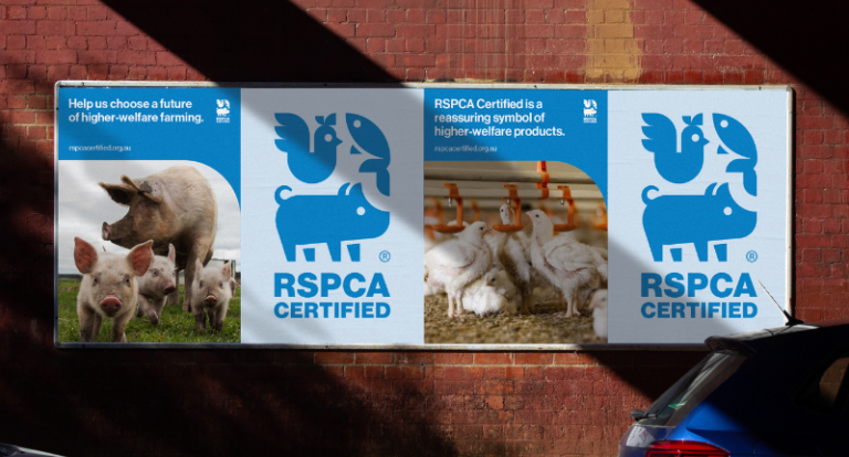 Look for the new logo: RSPCA Approved becomes RSPCA Certified