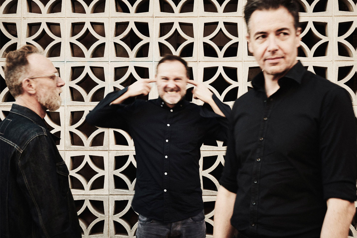 The Electorate Hit the Ground Running with Their Stunning Debut