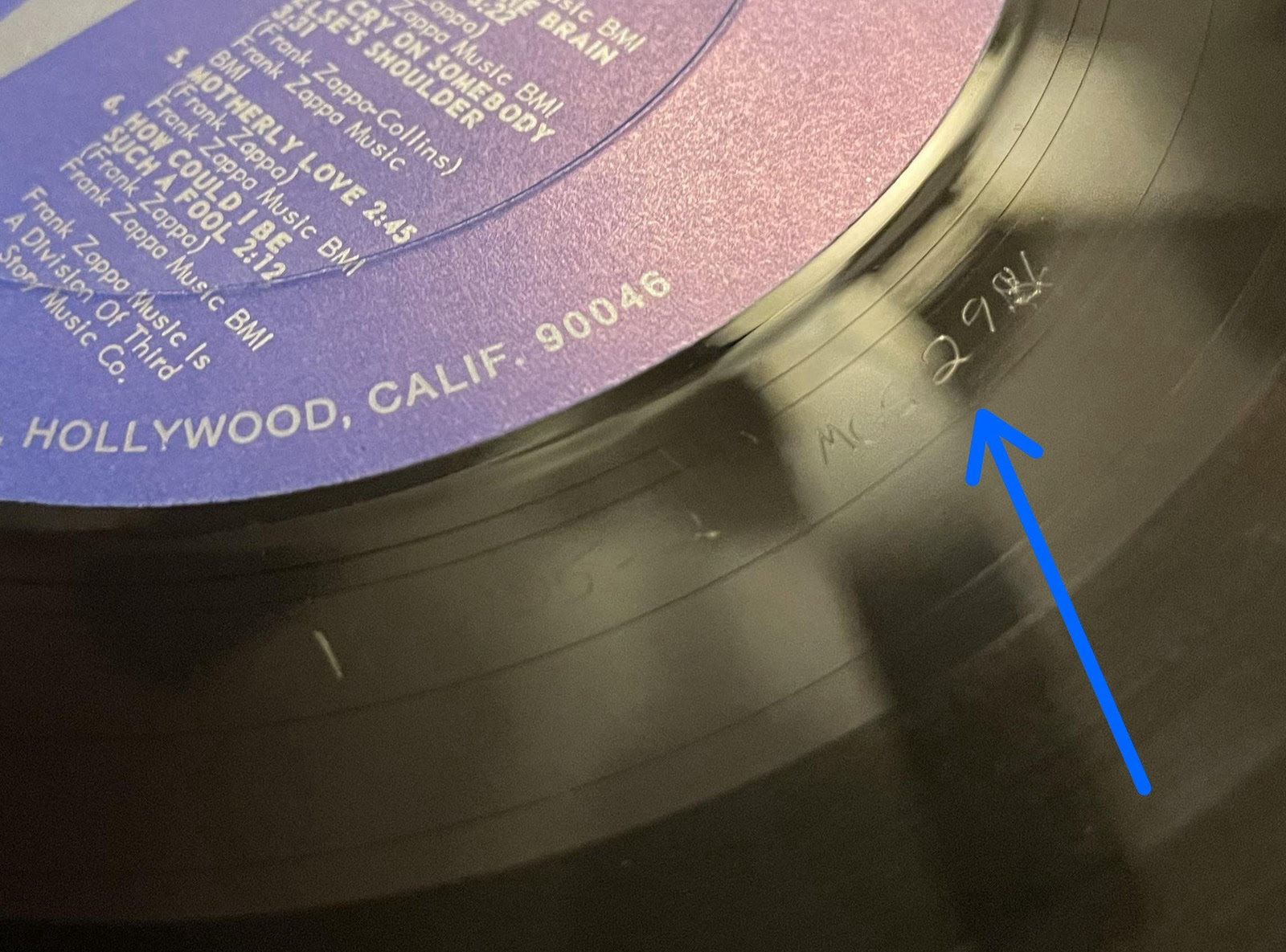 What I Learned After Collecting 300+ Vinyl Records